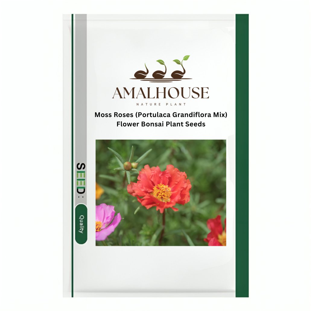 Moss Roses (Portulaca Grandiflora Mix) Flower Bonsai Plant - 500 PCS Seeds