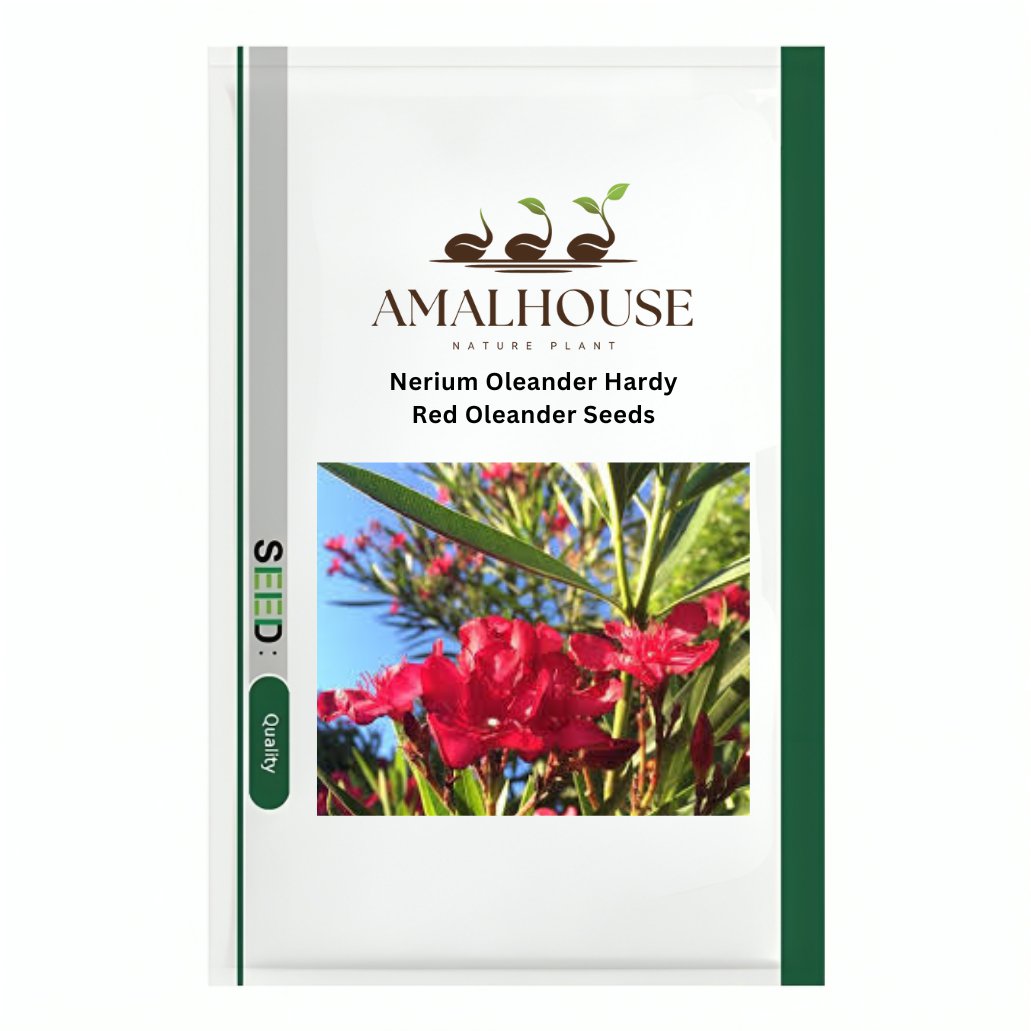 Nerium Oleander Hardy Red Oleander - 30 PCS Seeds