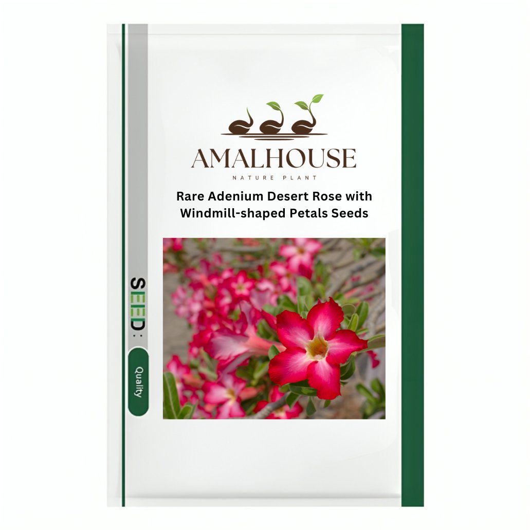 Rare Adenium Desert Rose with Windmill-shaped Petals - 5 PCS Seeds