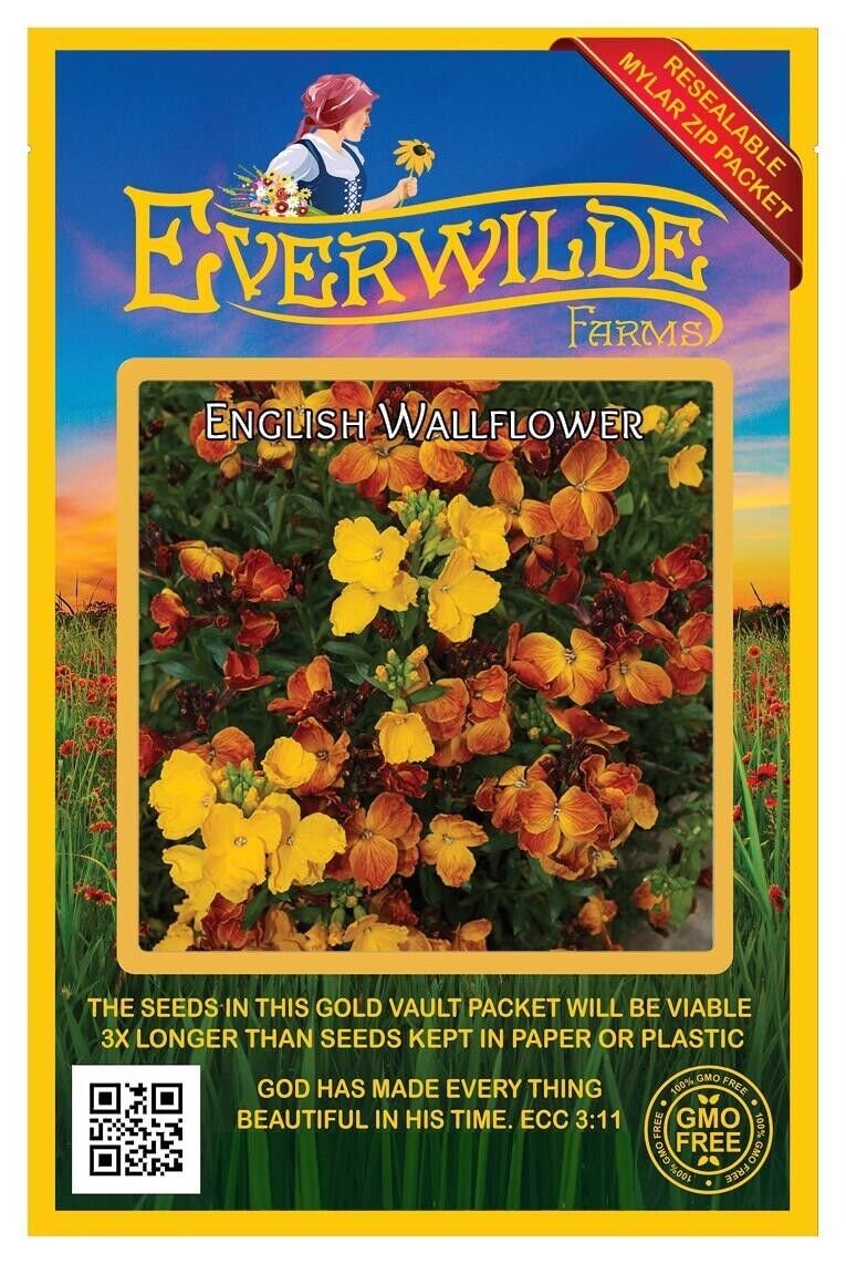 Limited Edition 1000 English Wallflower Wildflower Seeds