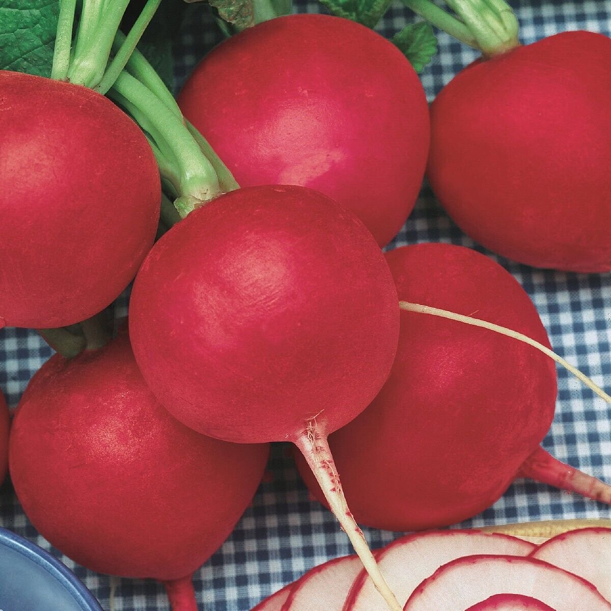 Limited Edition 1 Lb Champion Radish Seeds