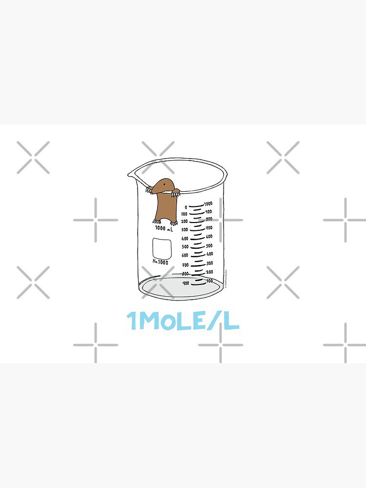 Chemistry 1 Mole per Litre for Mole or Avogadro's Day Zipper Pouch