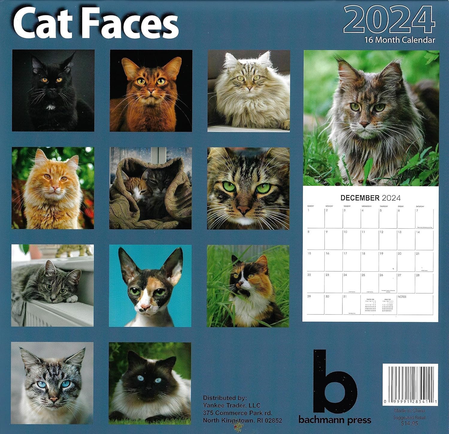 2024 Cat Faces Full Size Wall Calendar for Planning, Scheduling, and ...