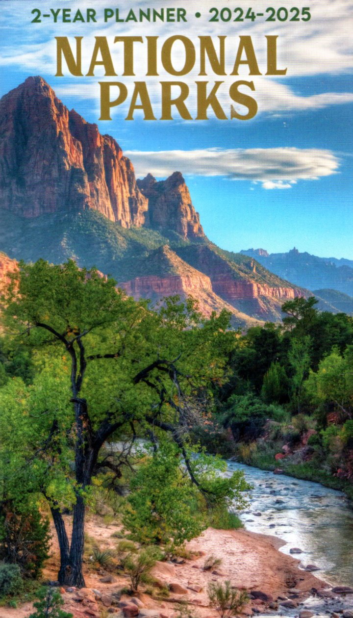 liulongyl & 2026 Adidas Campus 00s Brown Enfant