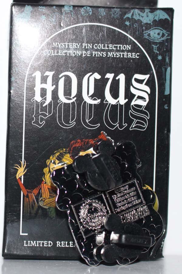 Disney Hocus Pocus Mystery Pin 2022 Transformation Spell Limited Release