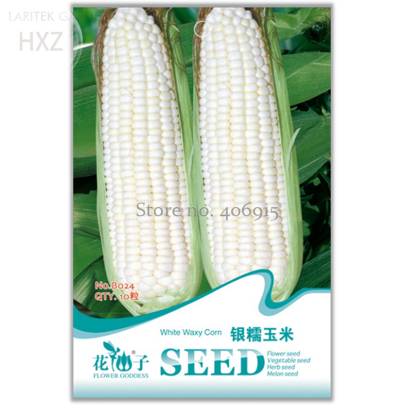 Fruits And Vegetables Silver Glutinous Corn Seed White Waxy Corn Seeds ...