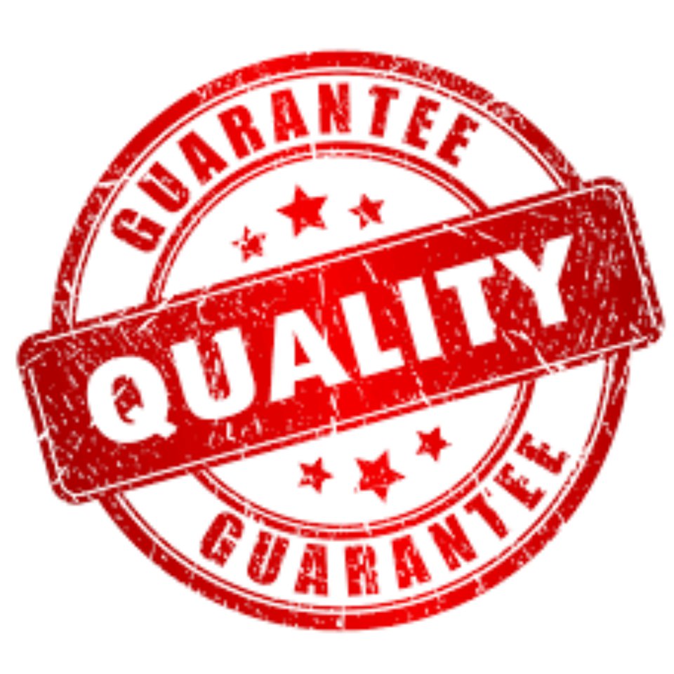 Phyllanthus Niruri-Bhumi Amla Powder-Bhoomi Awla Powder-Raw Herbs ...