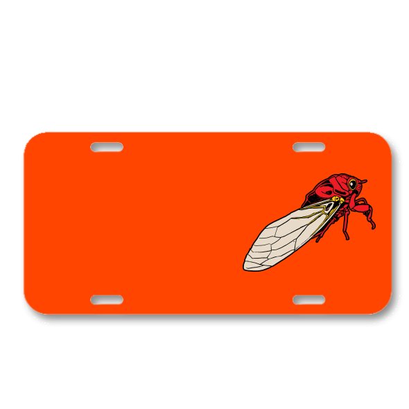 Bug Cicada Insect Bug Cicada Cicada On License Plate Car Front Add Names