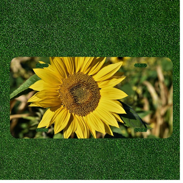 Creative License Plate Auto Tag With Yellow Gorgeous Sunflower View