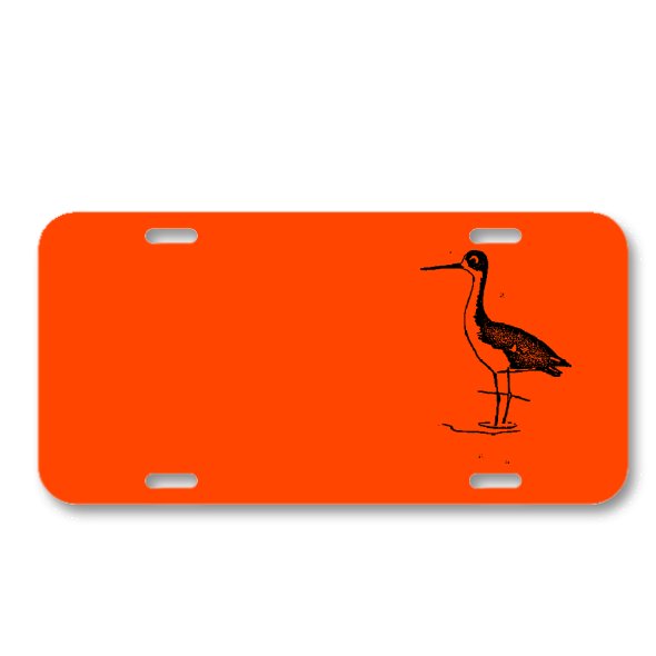 Bird Dig Stilt On License Plate Car Front Add Names