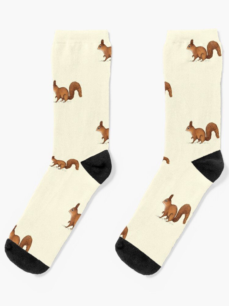 Anatomy Of A Squirrel Socks