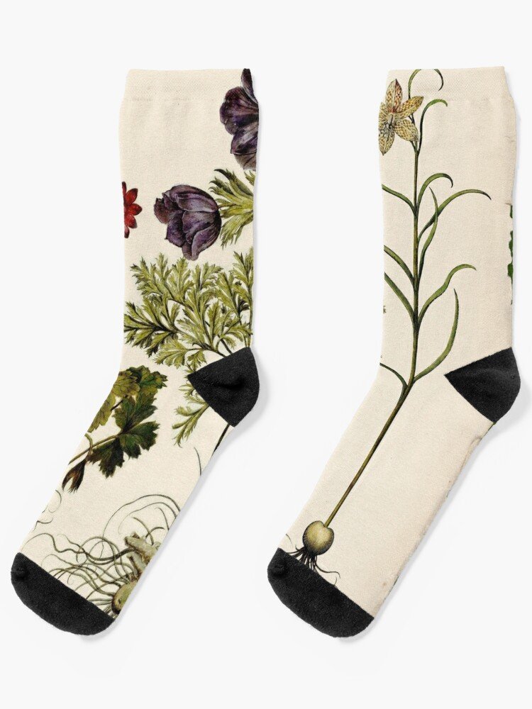 Botanica Nostalgia Ii Plant Botanical Study Socks