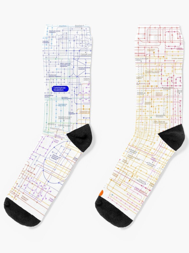 Metabolic Pathway Map Socks