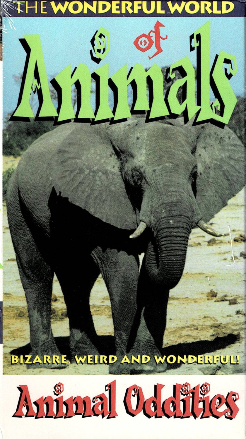 The Wonderful World of Animals Bizarre Weird Animal Oddities ...