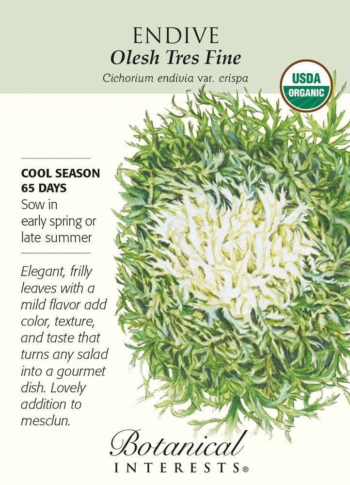Olesh Tres Fine Endive Seeds 400 mg_1