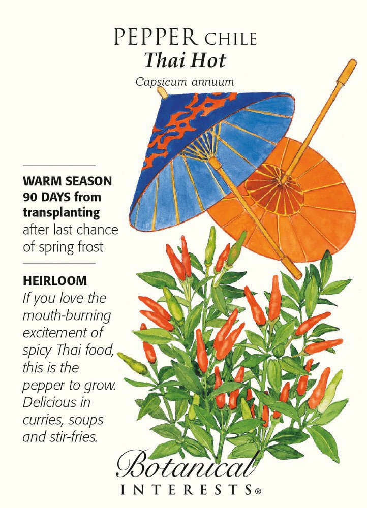 Thai Hot Chile Pepper 20 Seeds Heirloom_1
