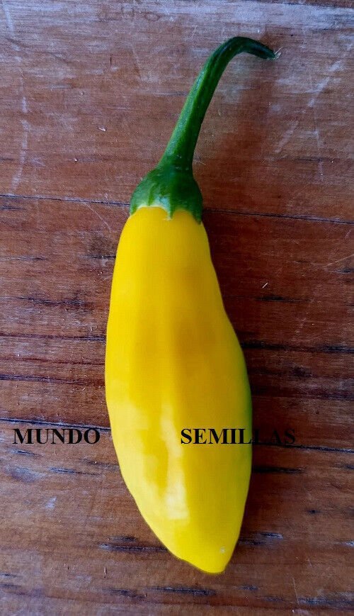 20 Seeds Chilli Flavour Lemon - Pretty Spicy - Aji Chilli of Peru
