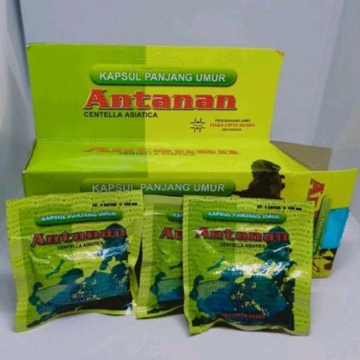 6 Boxes ANTANAN ORIGINAL Capsules Medicine for Gout, GOUT and Aches and ...