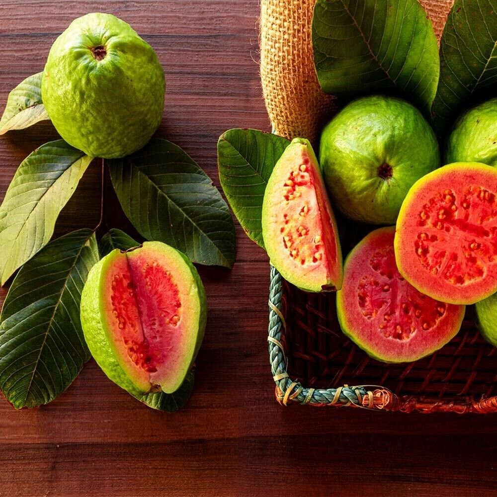 100 Lemon Apple Pink Guava Tree Seeds Ruby Supreme Psidium Guajava Plant