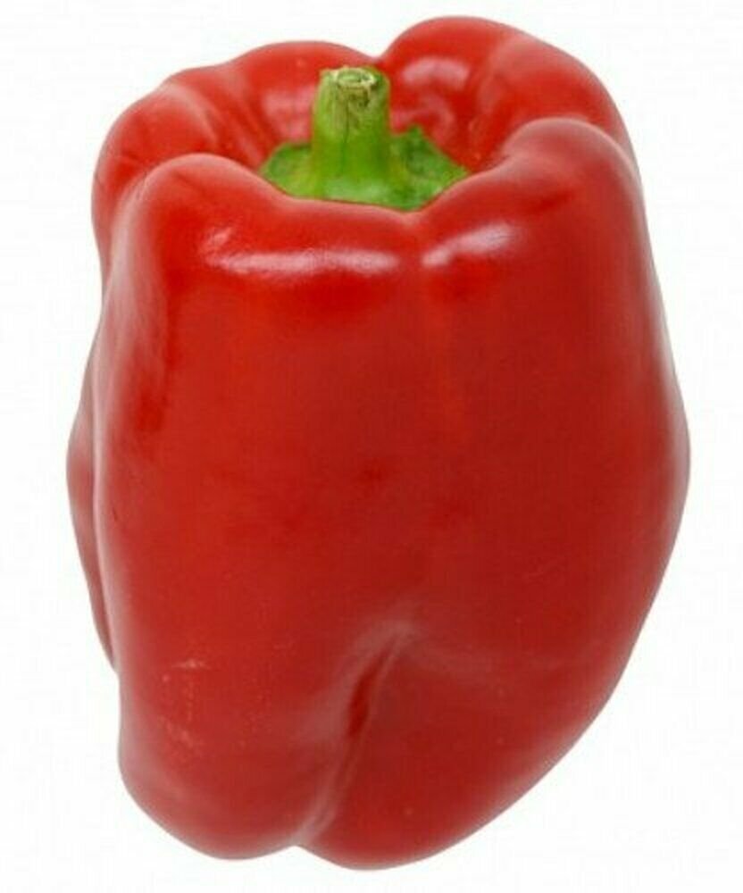 25 Keystone Giant Sweet Pepper Seeds Non-GMO Pepper Plant Fresh Seeds