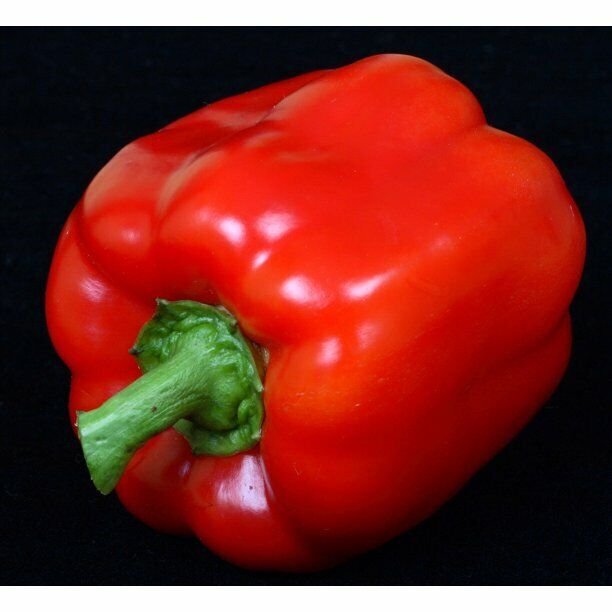 25 Keystone Giant Sweet Pepper Seeds Non-GMO Pepper Plant Fresh Seeds
