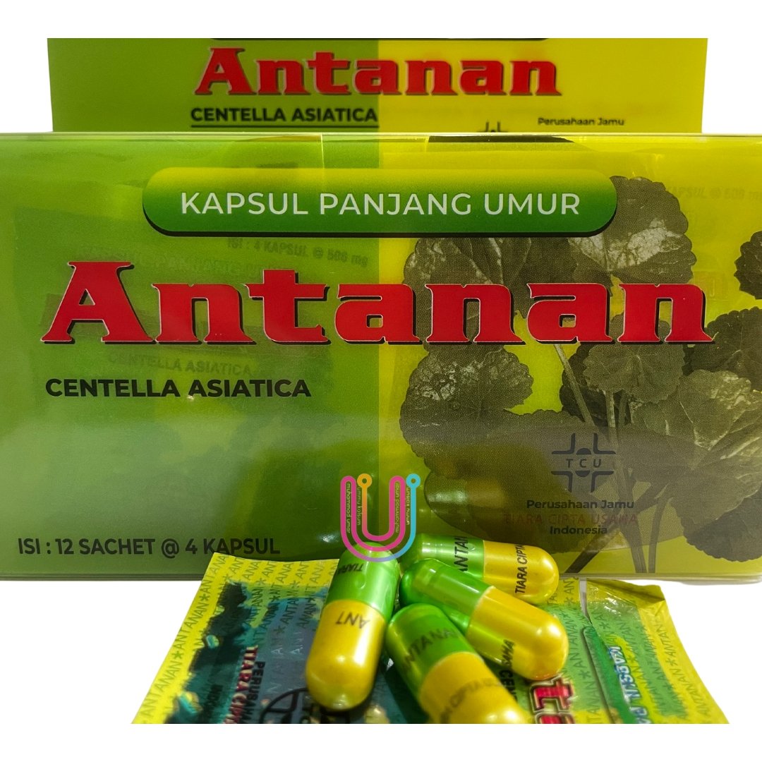 Original 1 Box Antanan Herb 48 Capsules Arthritis Rheumatism Back Pain ...