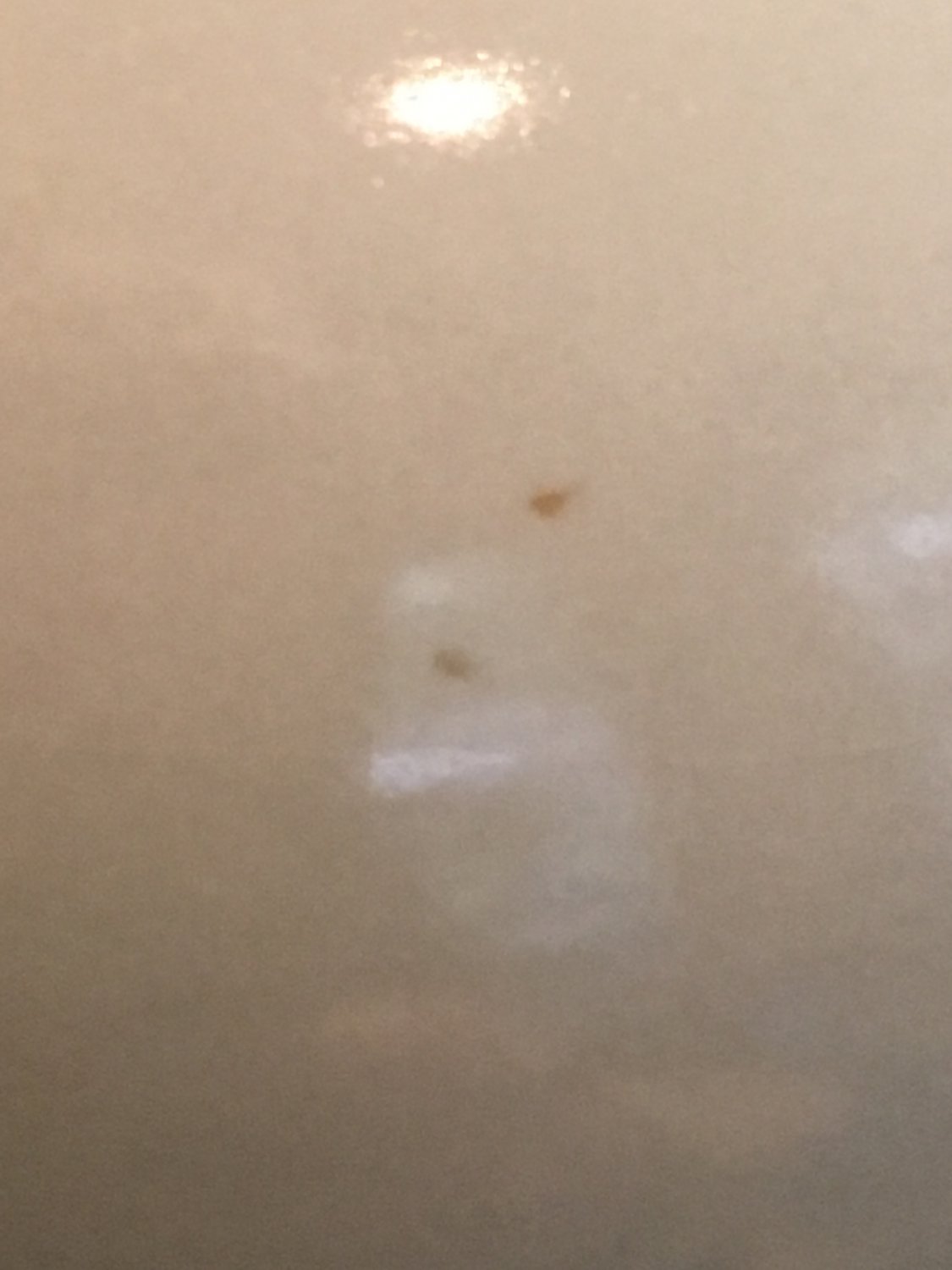 Vintage Bauer Olive Green Pitcher Carafe with wooden handle USA Los ...