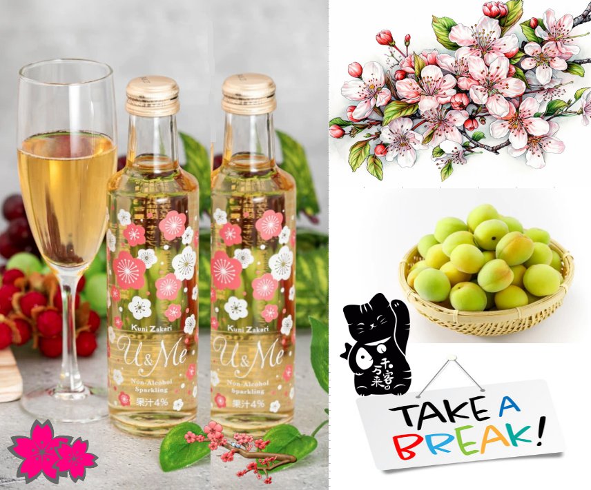 Ume sparkling plum Drink Kunizakari Japan Non-alcoholic Umeshu 200ml x ...