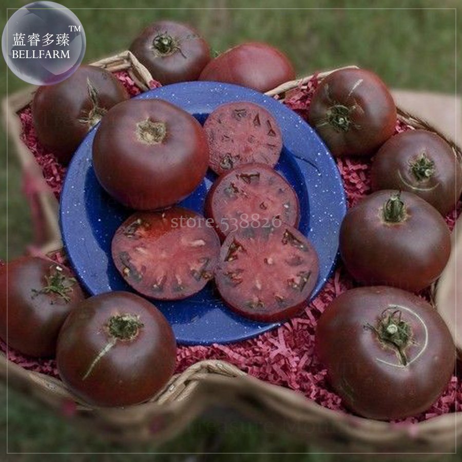 Eluosi' Cherokee Purple Giant Tomato, 100 seeds tasty edible vegetables ...