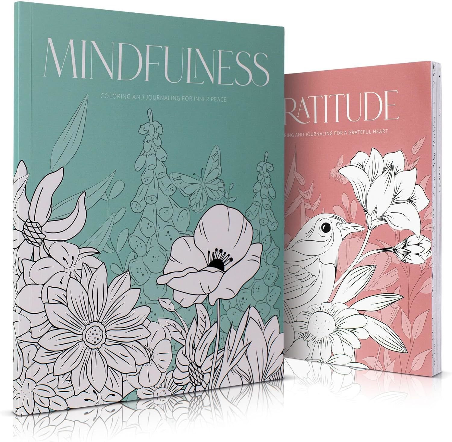 Beautiful Adult Coloring Book Set of 2 for Relaxation Gratitude and ...