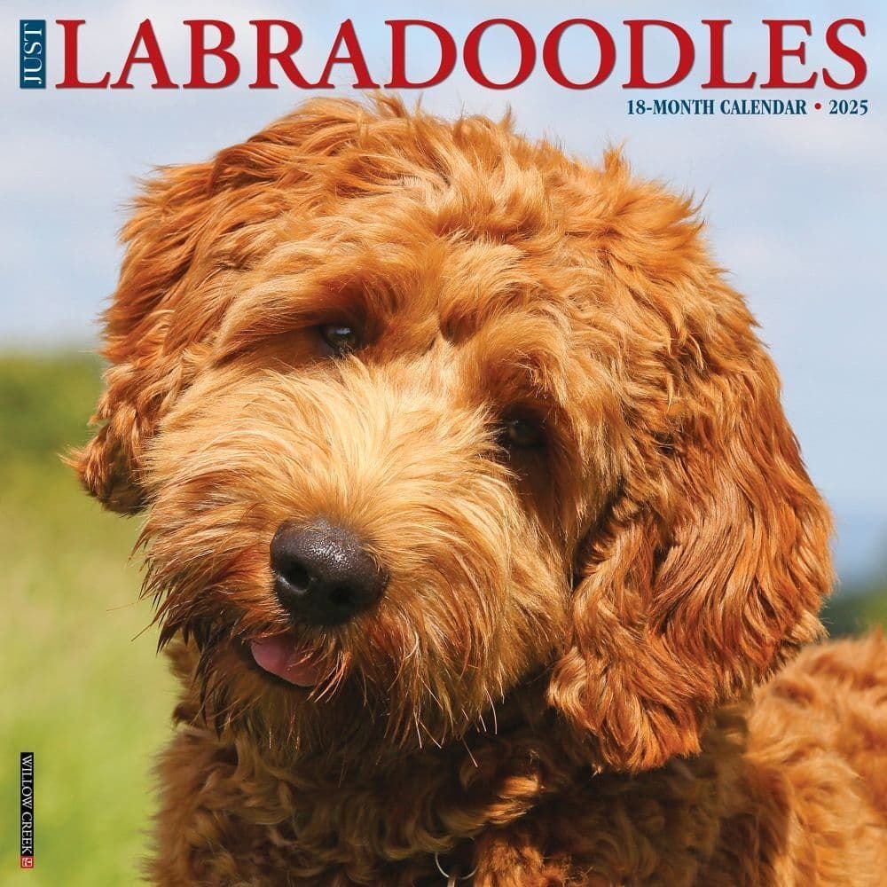 Just Labradoodles 2025 Wall Calendar