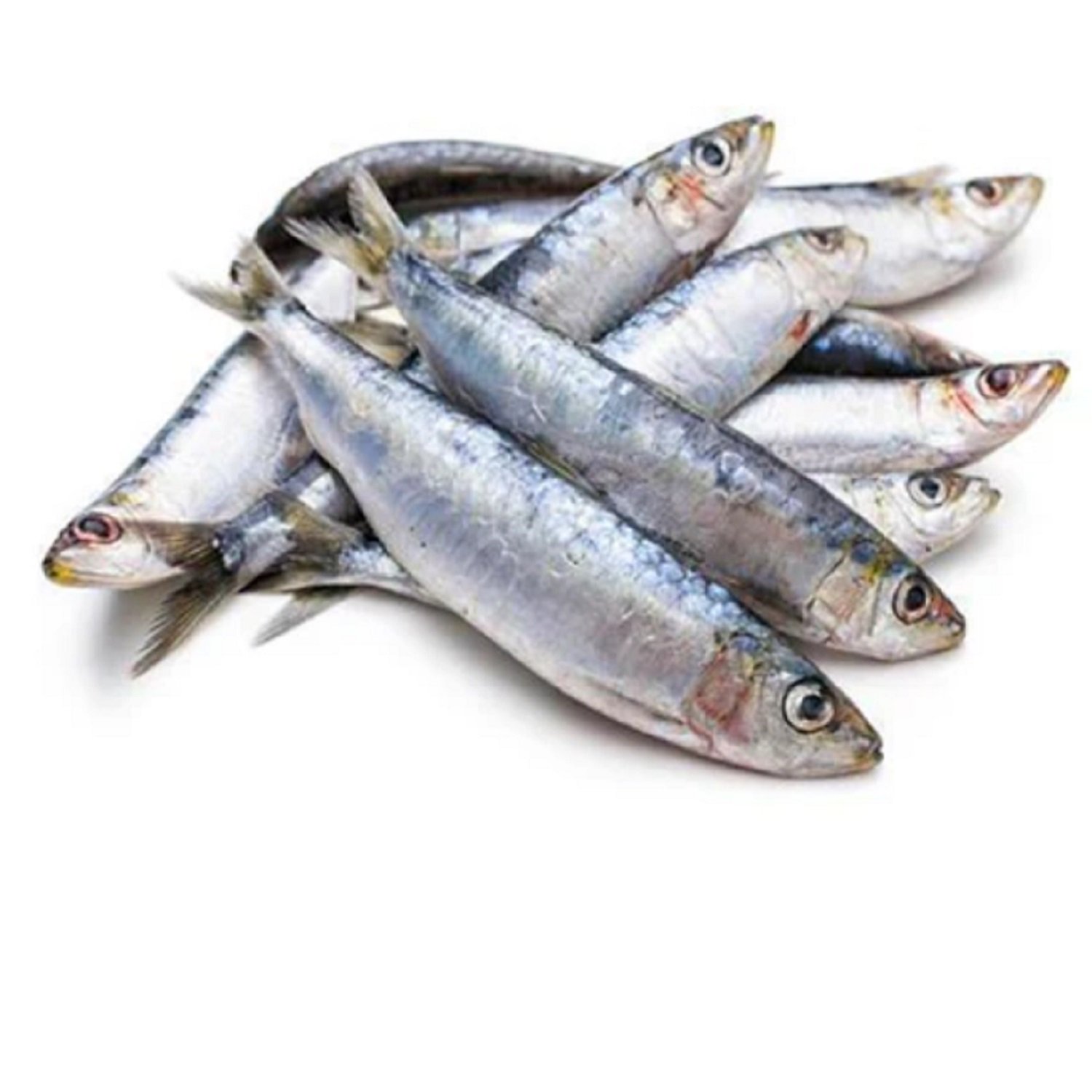Dried Salted Smoothbelly sardinella (Keeramin) Bulk Premium Quality ...