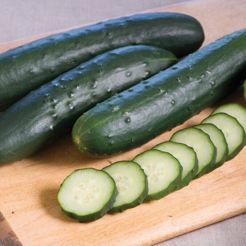 25 Corinto Cucumbers Seeds Fresh Garden