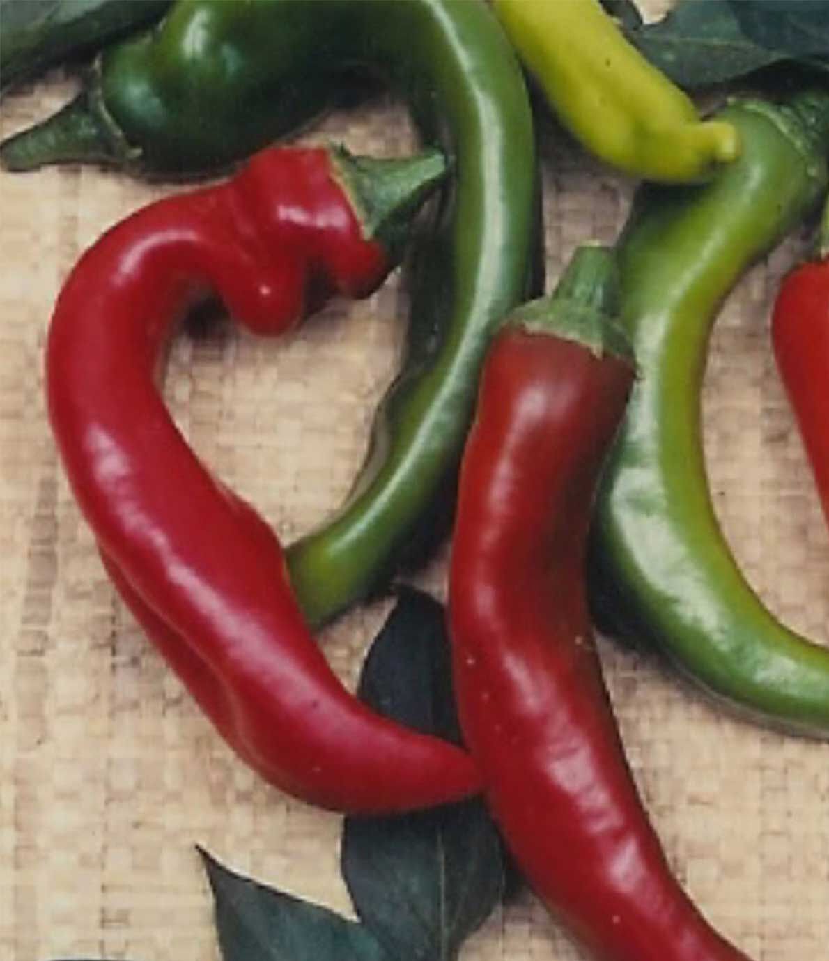 200 Anaheim Mild Hot Chili Pepper Seeds Fresh Garden