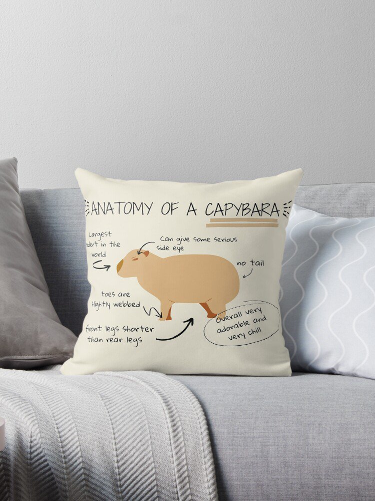 Anatomy Of A Capybara Pillow