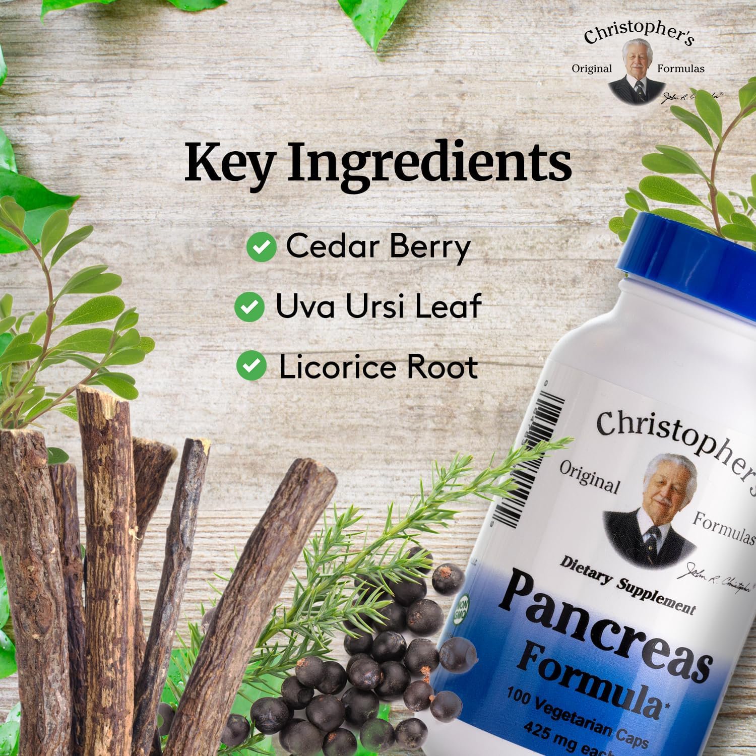 Christopher's Original Formulas Pancreas Formula - Pancreas Cleanse ...