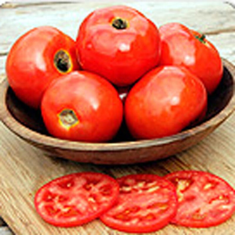 50 Seeds Iron Lady Tomato Juicy Tomatoe Vegetable Garden Edible Food ...