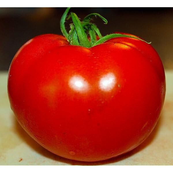 50 Seeds Halley 3155 Tomato Juicy Tomatoe Vegetable Garden Edible Food ...