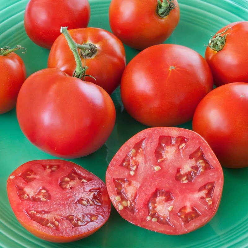 50 Seeds Front Runner Tomato Juicy Tomatoe Vegetable Garden Edible Food ...