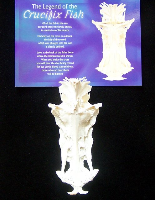 Crucifix Fish and Postcard