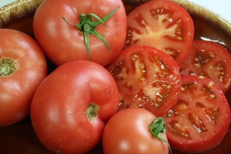 50 Seeds Redfield Beauty Tomato Tomatoe Vegetable Garden Edible Canning ...