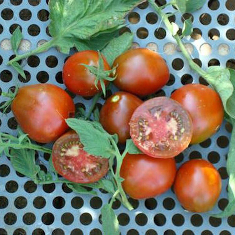 100 Black Truffle Tomato Seeds Indeterminate Nongmo Heirloom Easy to Grow