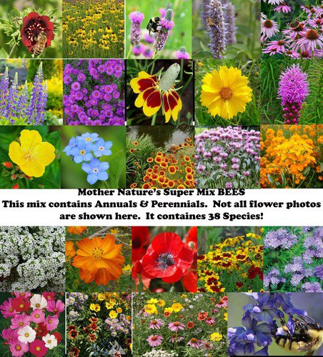 Landscapers Pack Super Mix Save The Bees Bulk Wild Flowers Nongmo 3000 ...