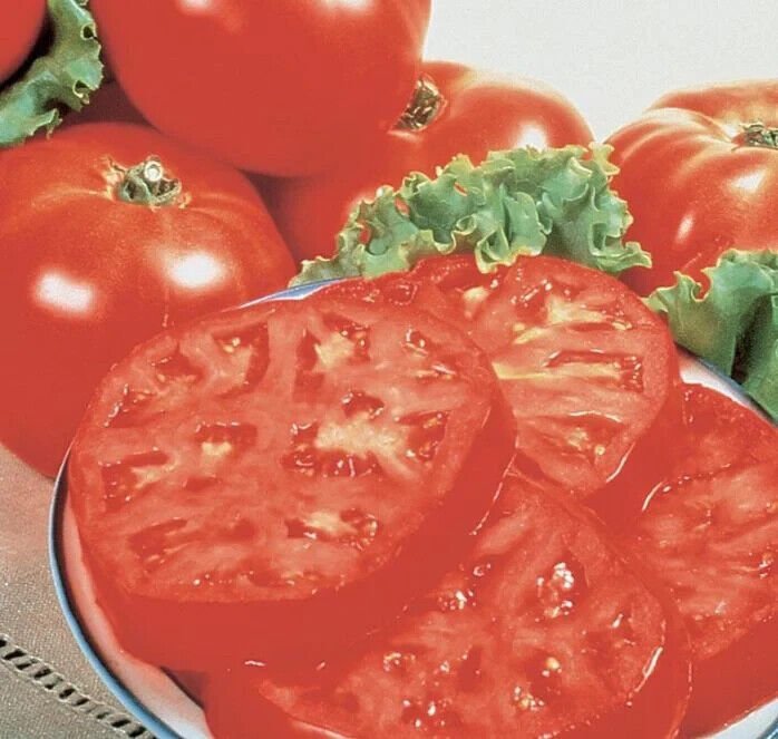 50 Seeds Supersteak Tomato Tomatoe Vegetable Garden Edible Canning Fast ...
