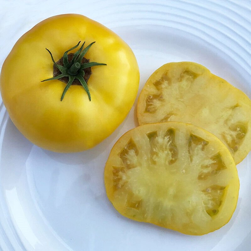 50 Seeds Dwarf Golden Tipsy Tomato Juicy Tomatoe Vegetable Garden ...