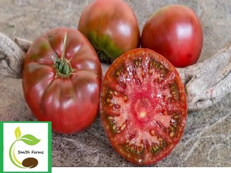 50 Seeds Wes Tomato Tomatoe Vegetable Garden Edible Canning Fast Shipping