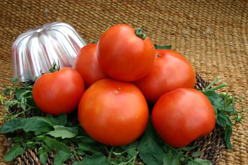 50 Seeds Primo Red Tomato Tomatoe Vegetable Garden Edible Canning Fast ...