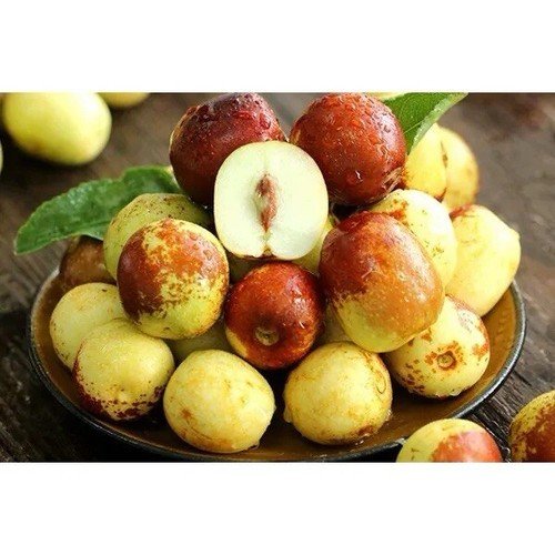 Jujube Ziziphus Jujuba 10 Seeds Garden Planting