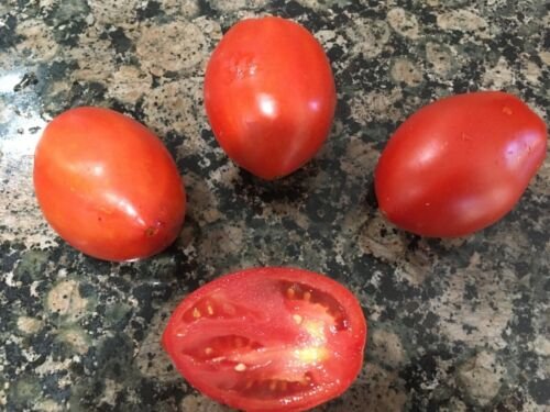 20 Amish Paste Tomato Seeds Organically Grown Garden Planting