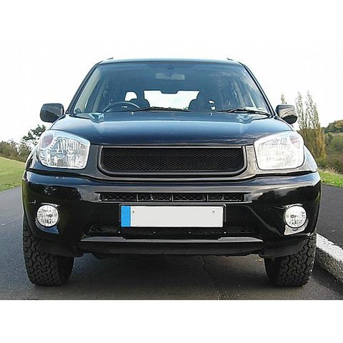 Toyota RAV4 2004-2005 Mesh Grille